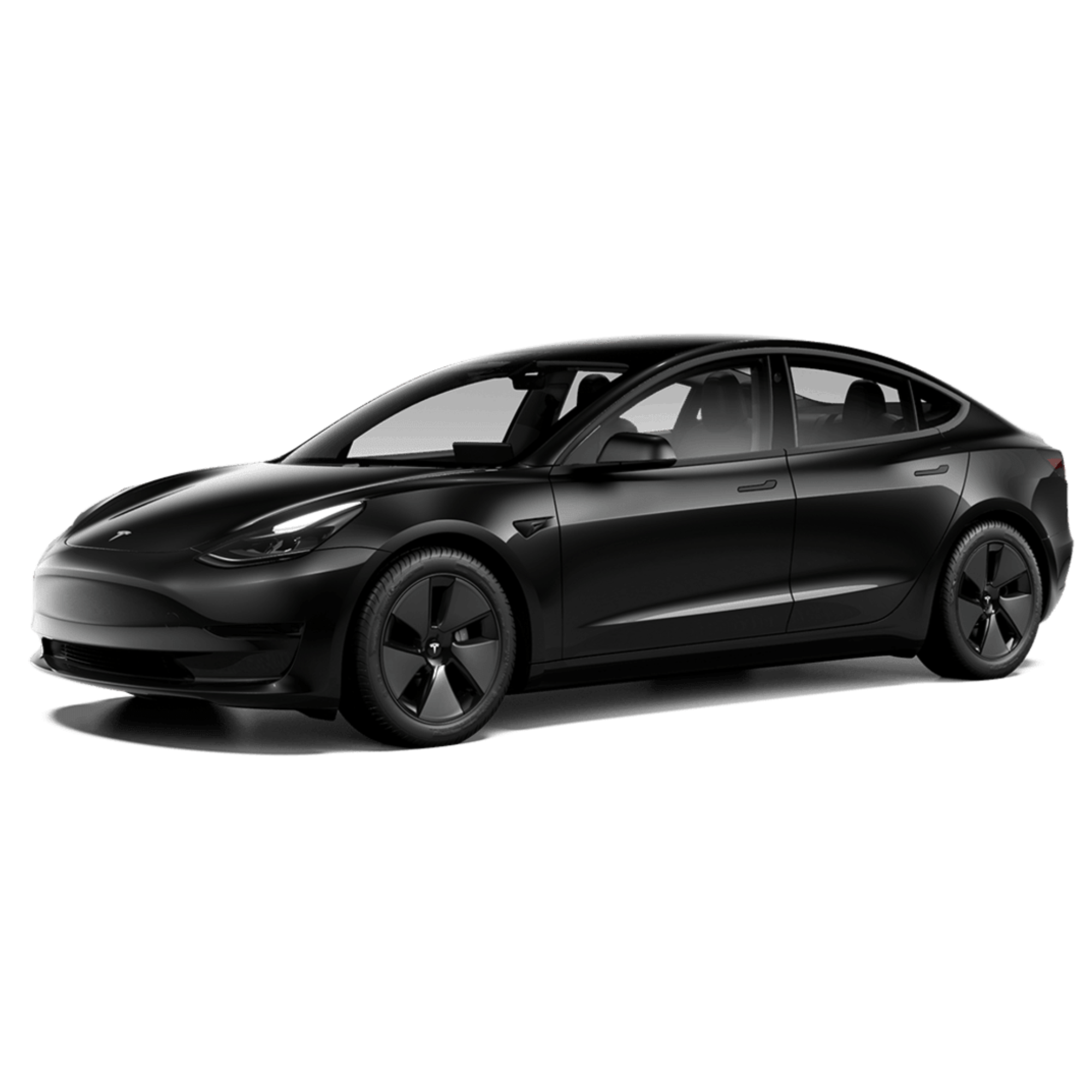 Home - Go Electric Motors